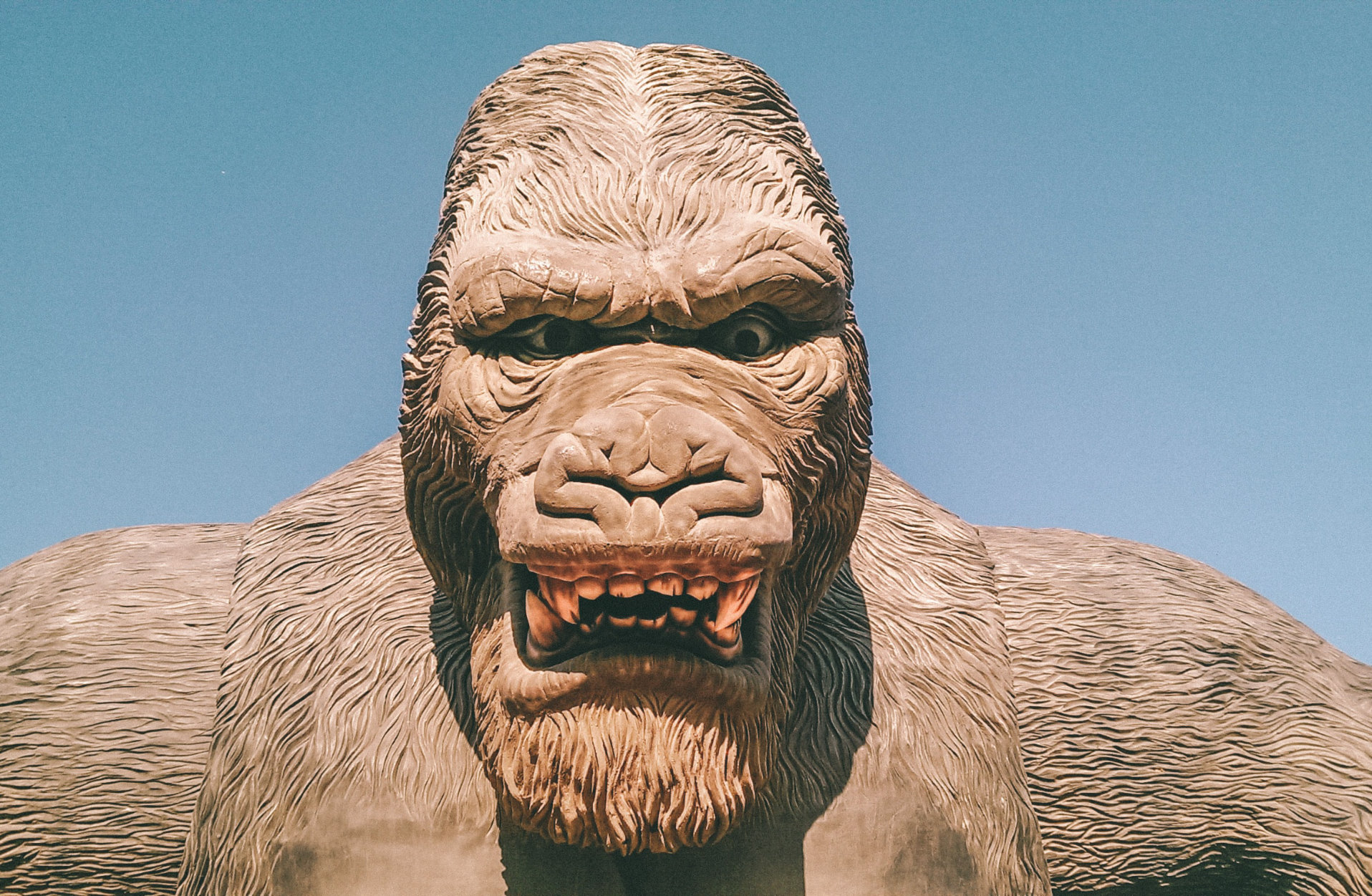 Ces managers toxiques – Kevin HAMON