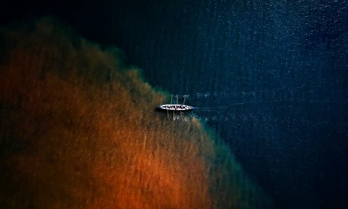 Dynamisez votre équipe avec un leadership inspirant et engagé